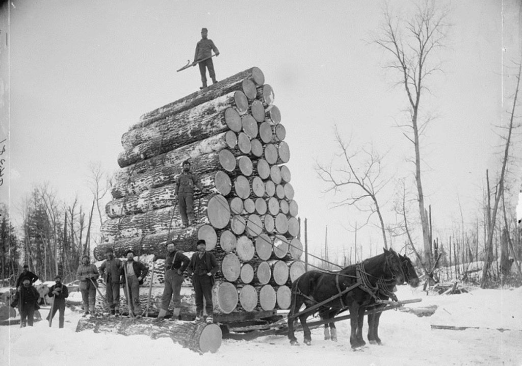 The trees of Michigan — Ronnie Lee. rocks