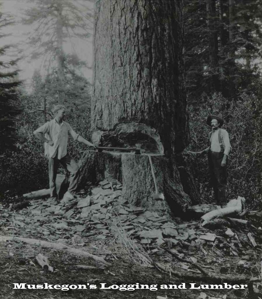 The history of Michigan 1835 – 1980 — Ronnie Lee. rocks